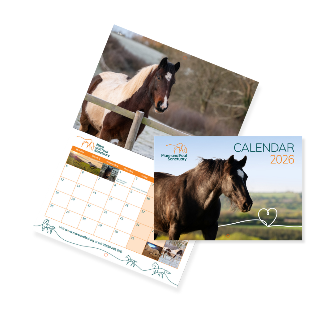 2026 Calendar | The Mare and Foal Sanctuary